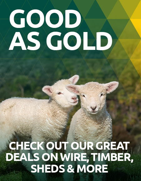 Who We Are - Goldpine