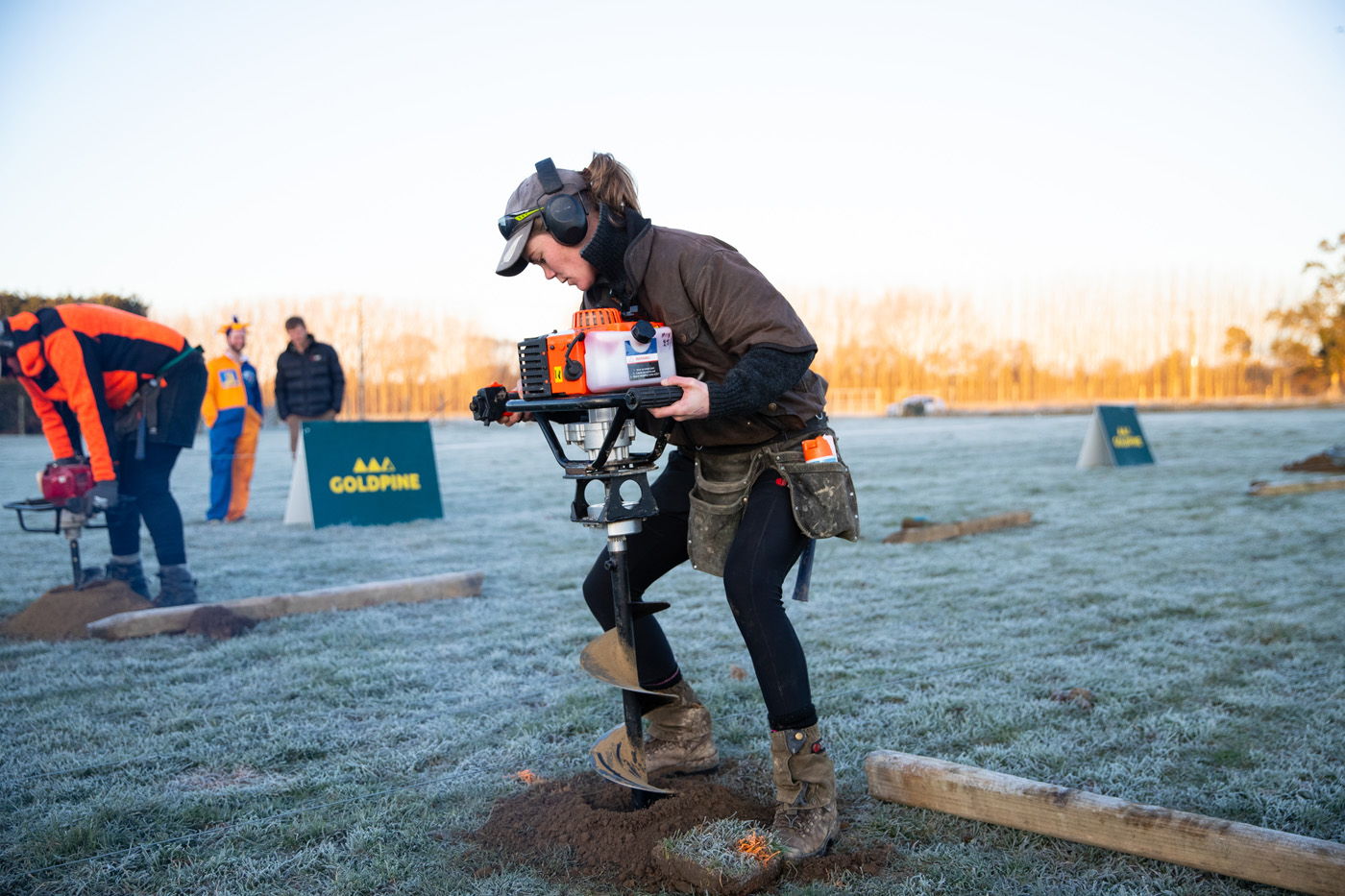 Community - Goldpine