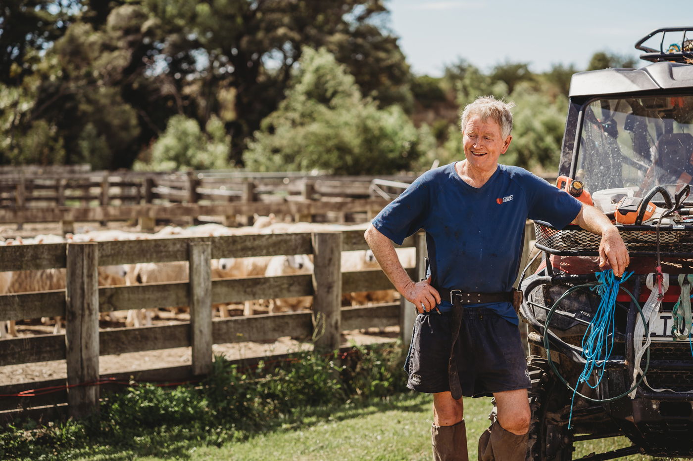 Promotions - Goldpine