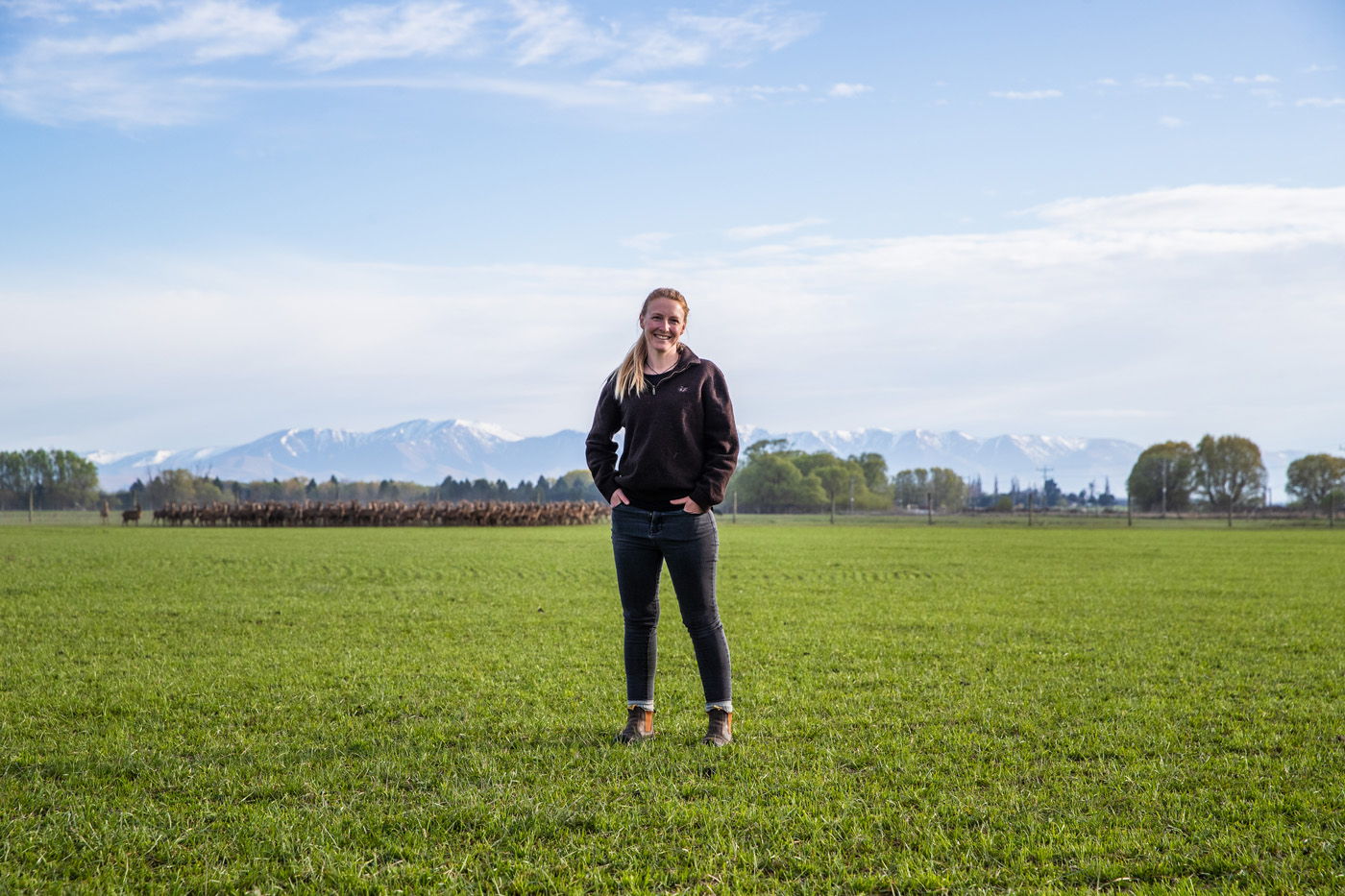 Promotions - Goldpine