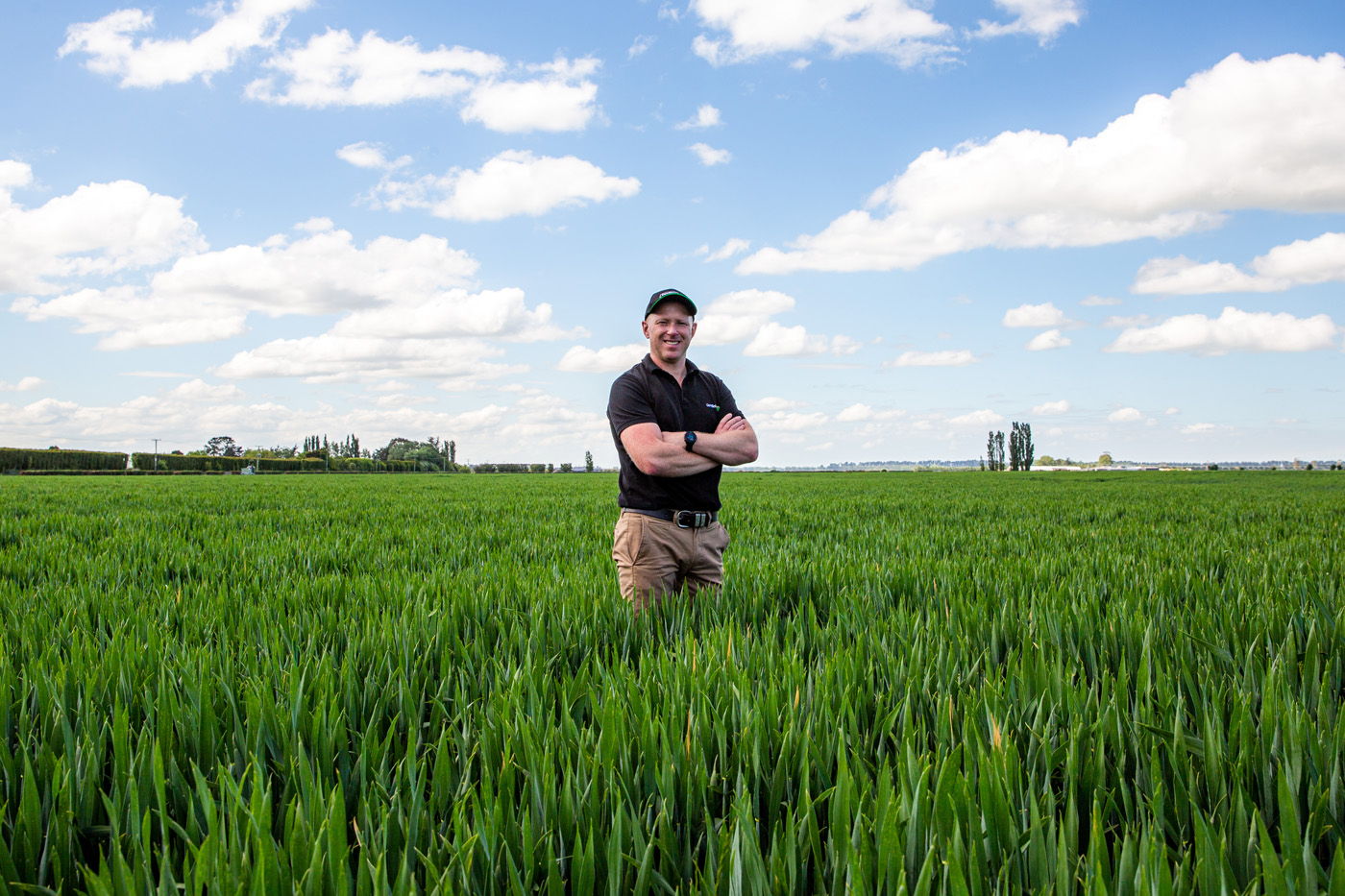 Promotions - Goldpine