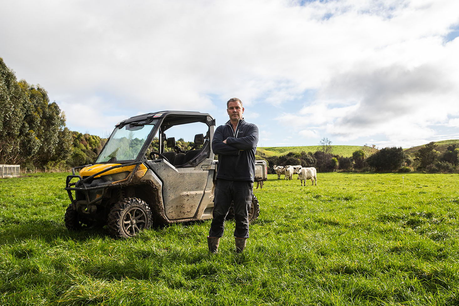 Over The Fence - Goldpine