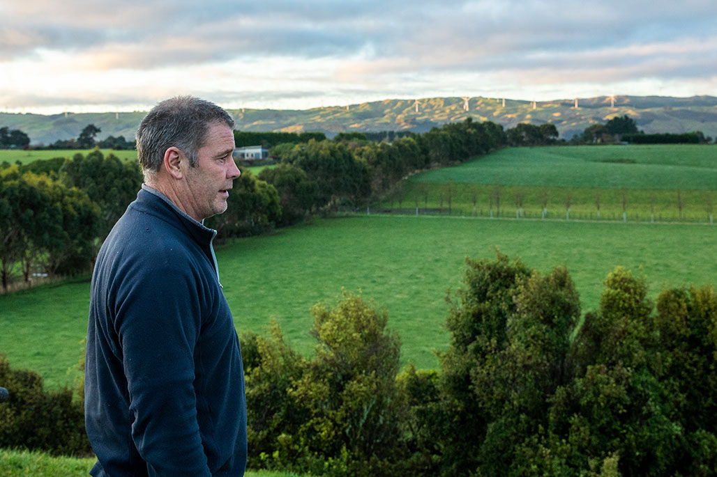 Over The Fence - Goldpine