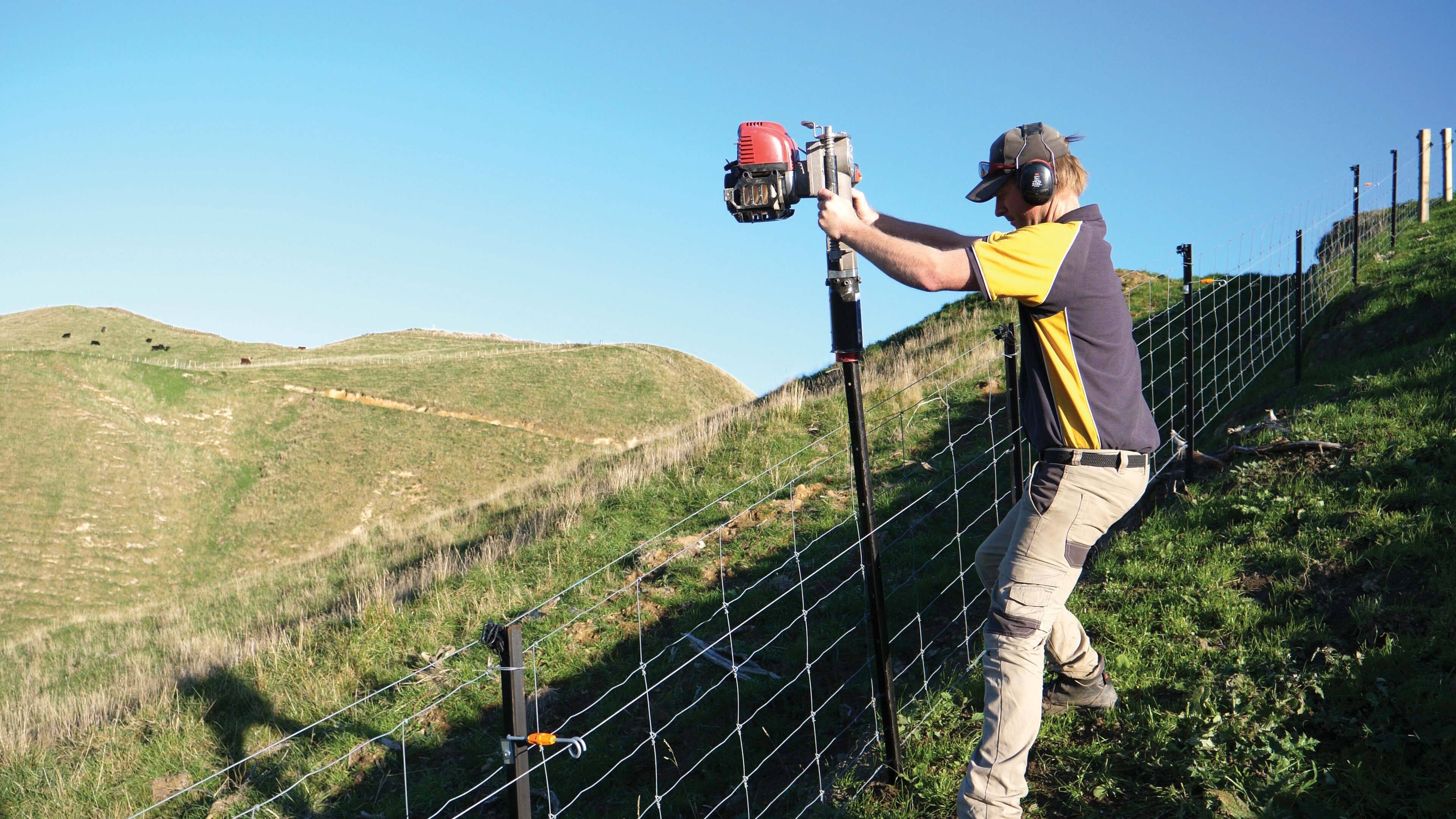 Promotions - Goldpine