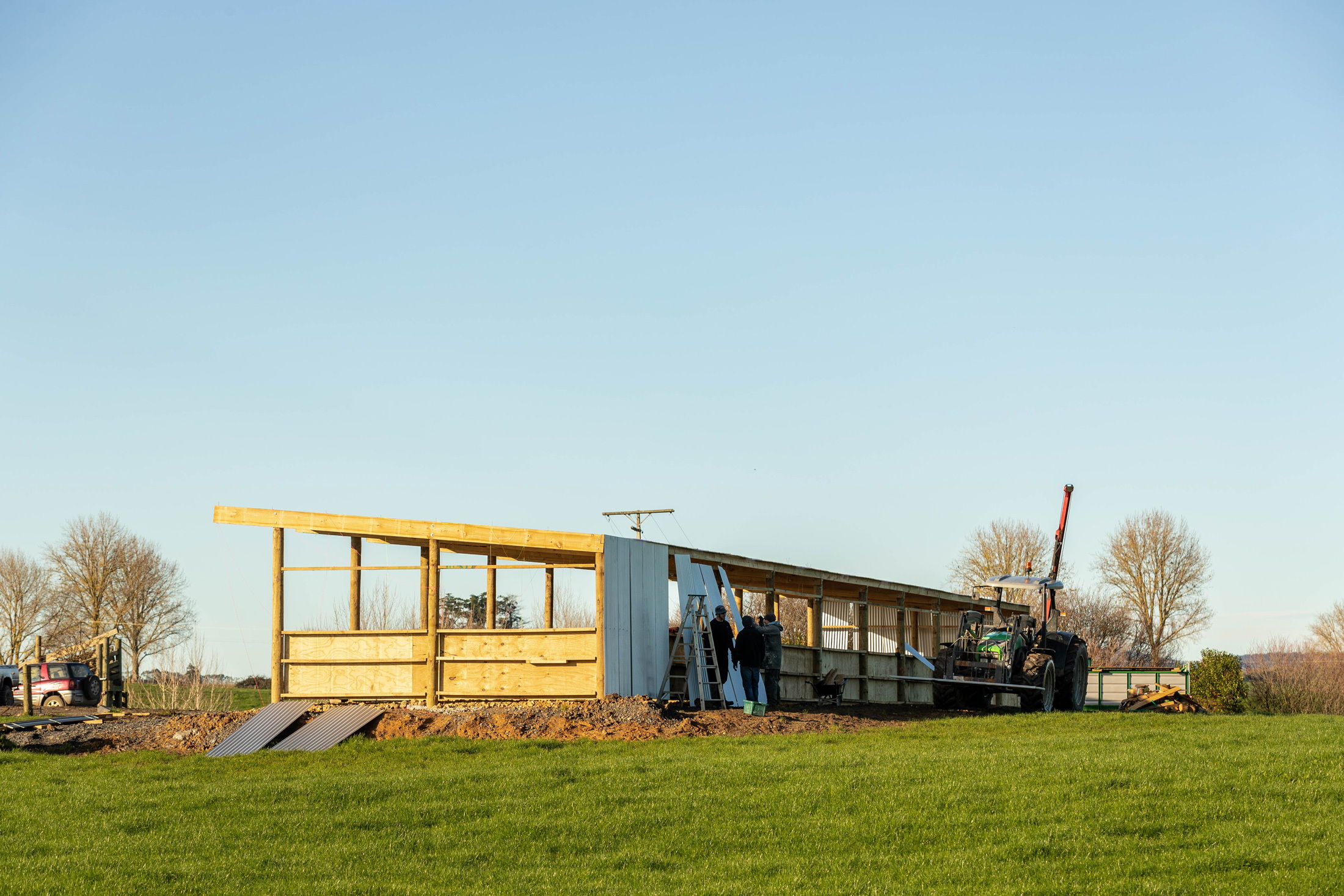 Over The Fence - Goldpine