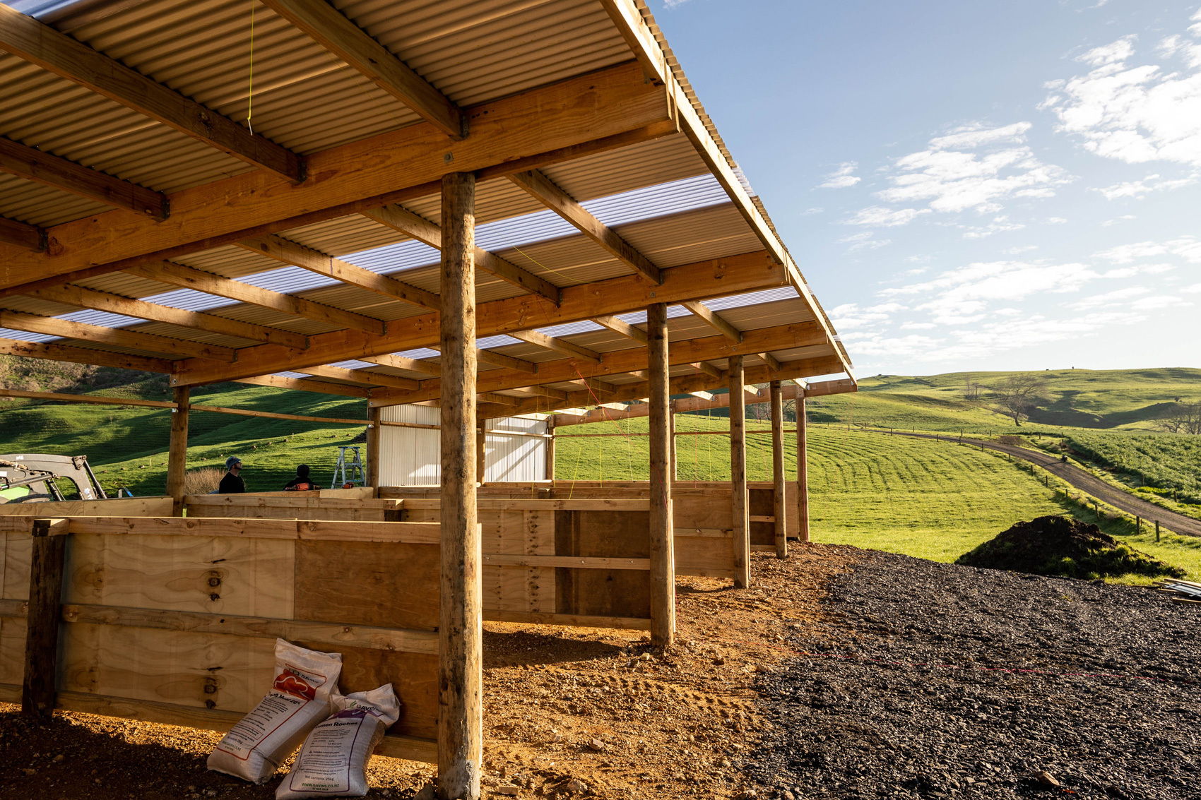 Over The Fence - Goldpine