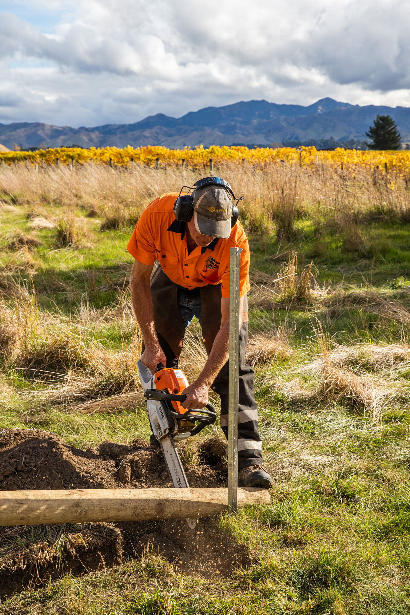 Over The Fence - Goldpine