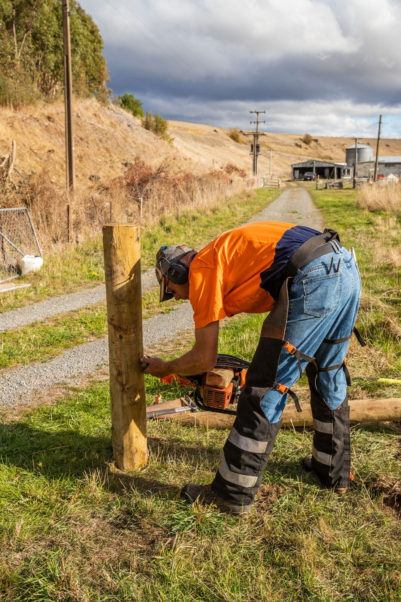 Over The Fence - Goldpine