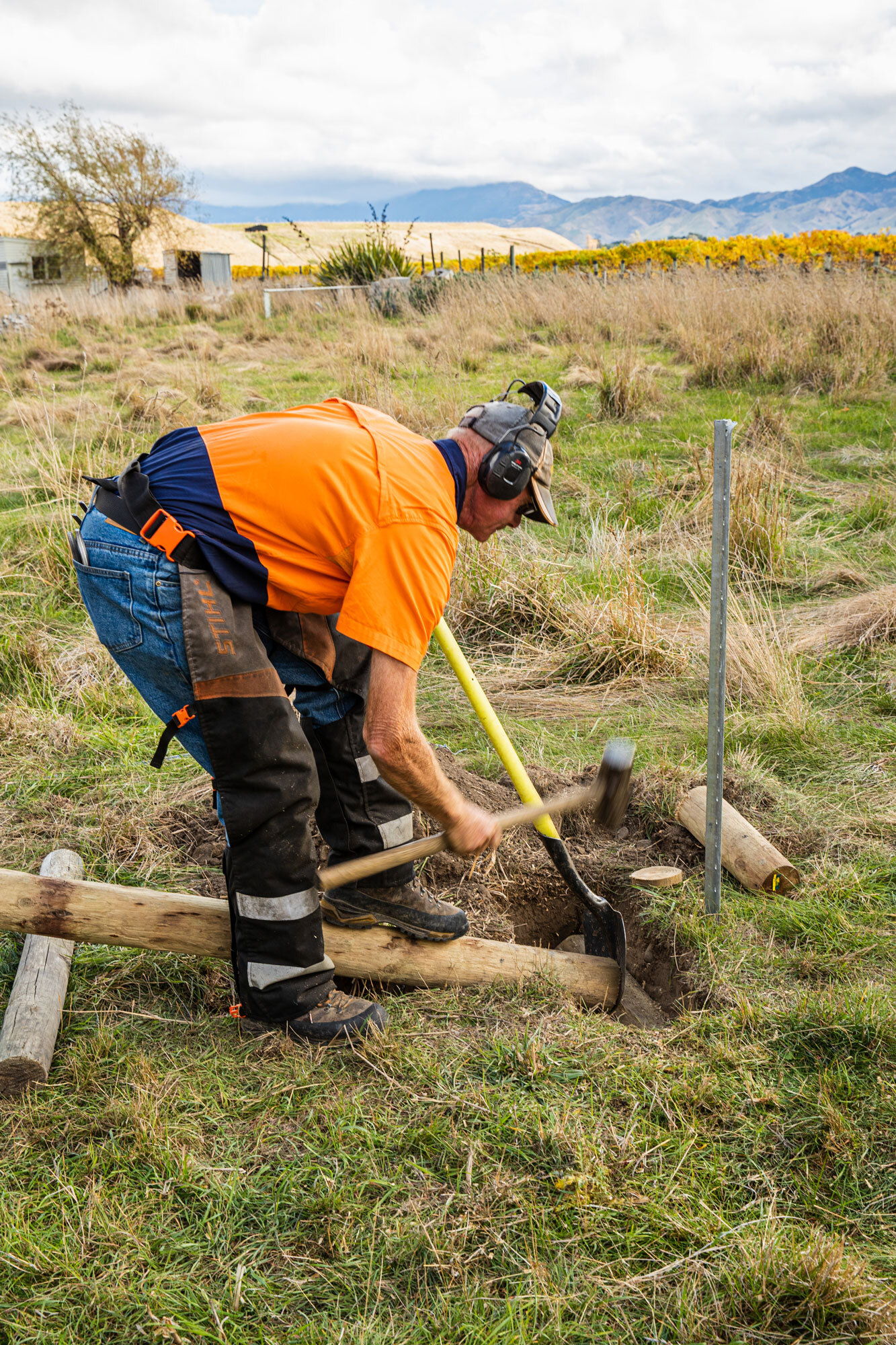 Over The Fence - Goldpine