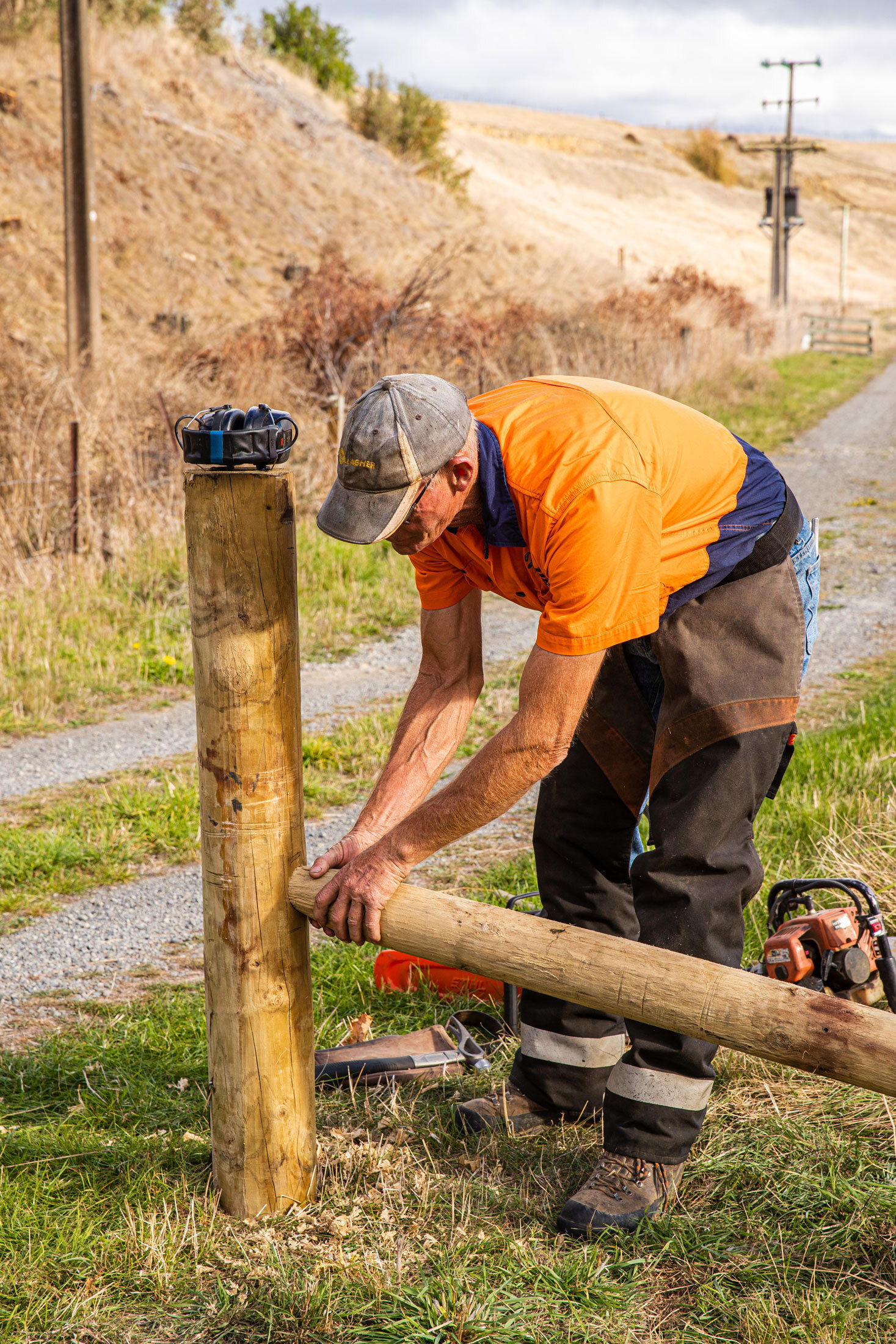 Over The Fence - Goldpine