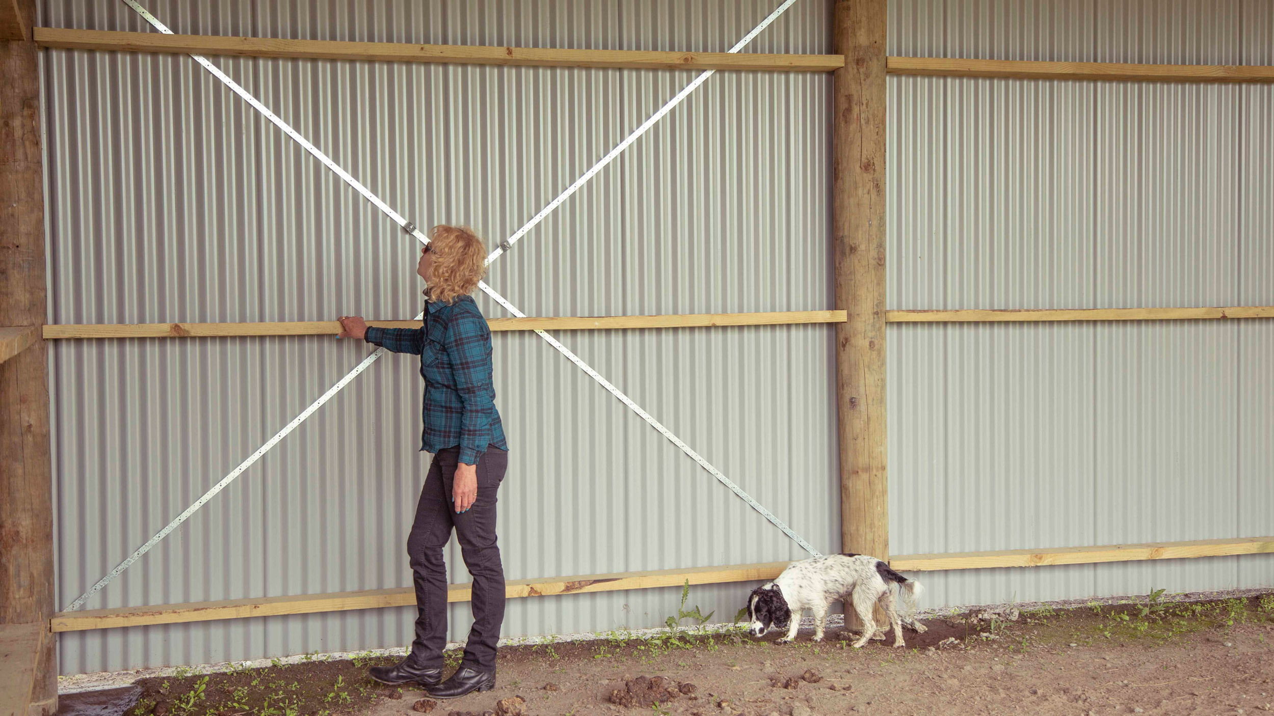 Farm Buildings - Goldpine