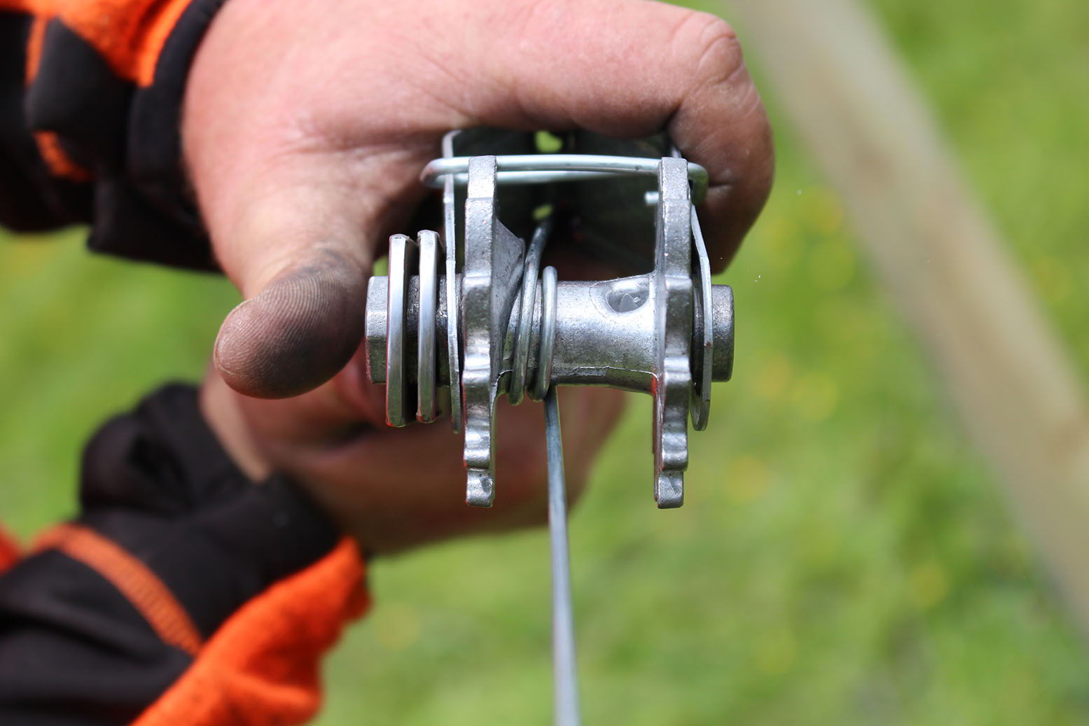 Over The Fence - Goldpine