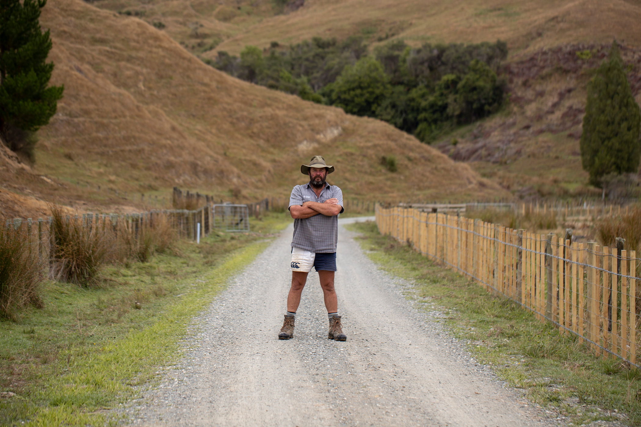 Over The Fence - Goldpine