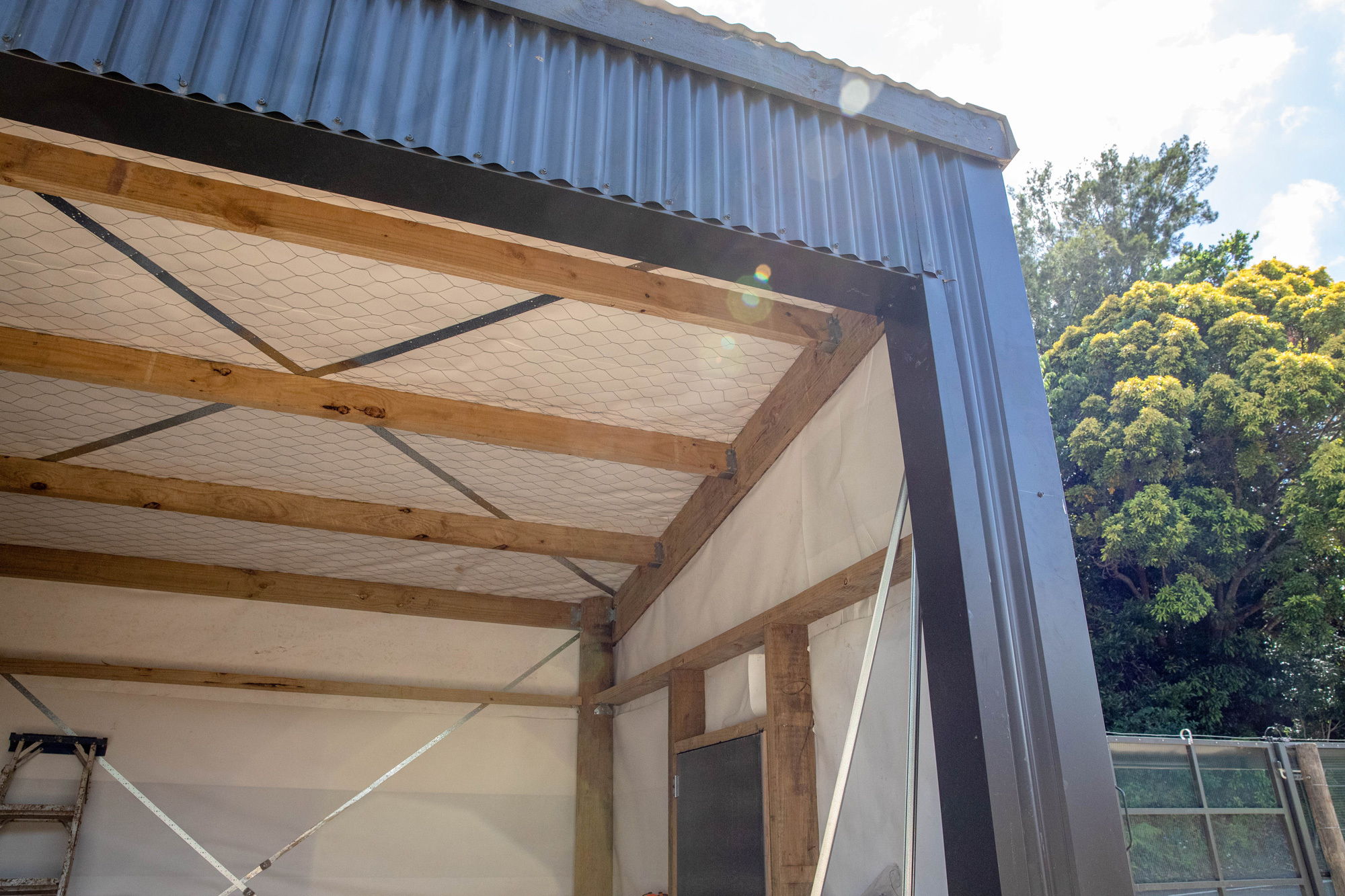 Over The Fence - Goldpine