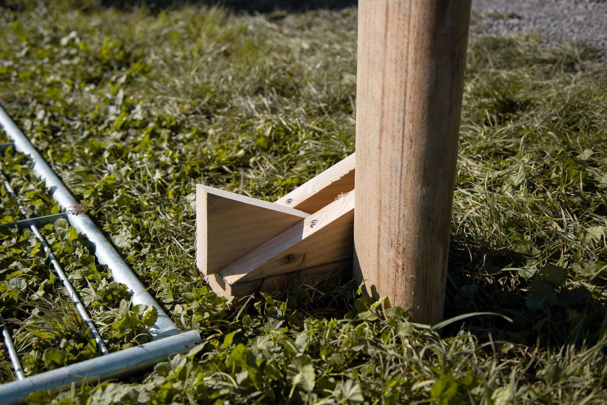 Over The Fence - Goldpine