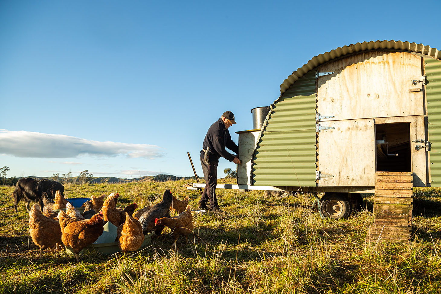 Over The Fence - Goldpine