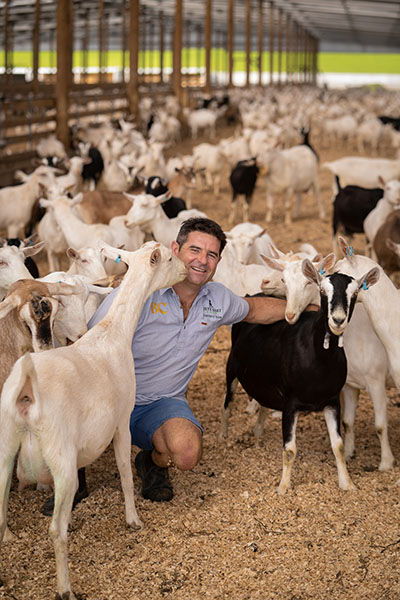 Over The Fence - Goldpine