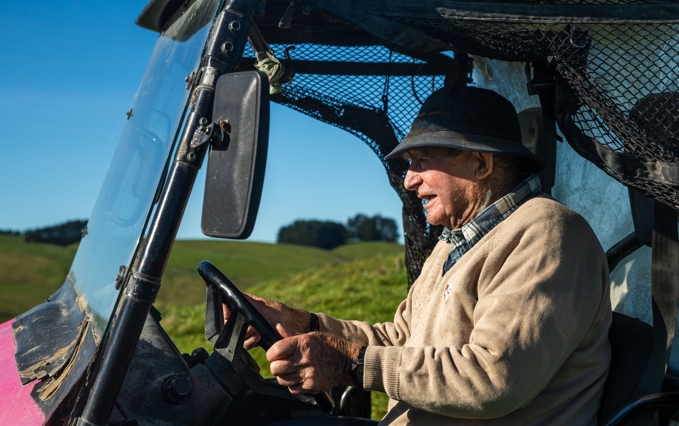 Over The Fence - Goldpine