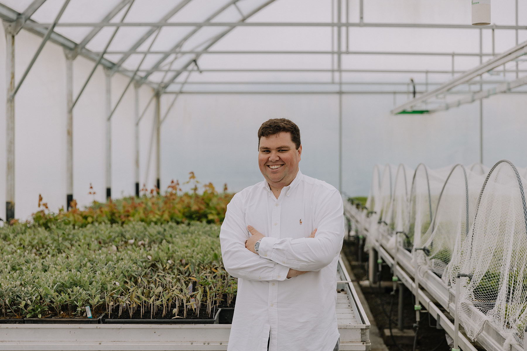 Over The Fence - Goldpine