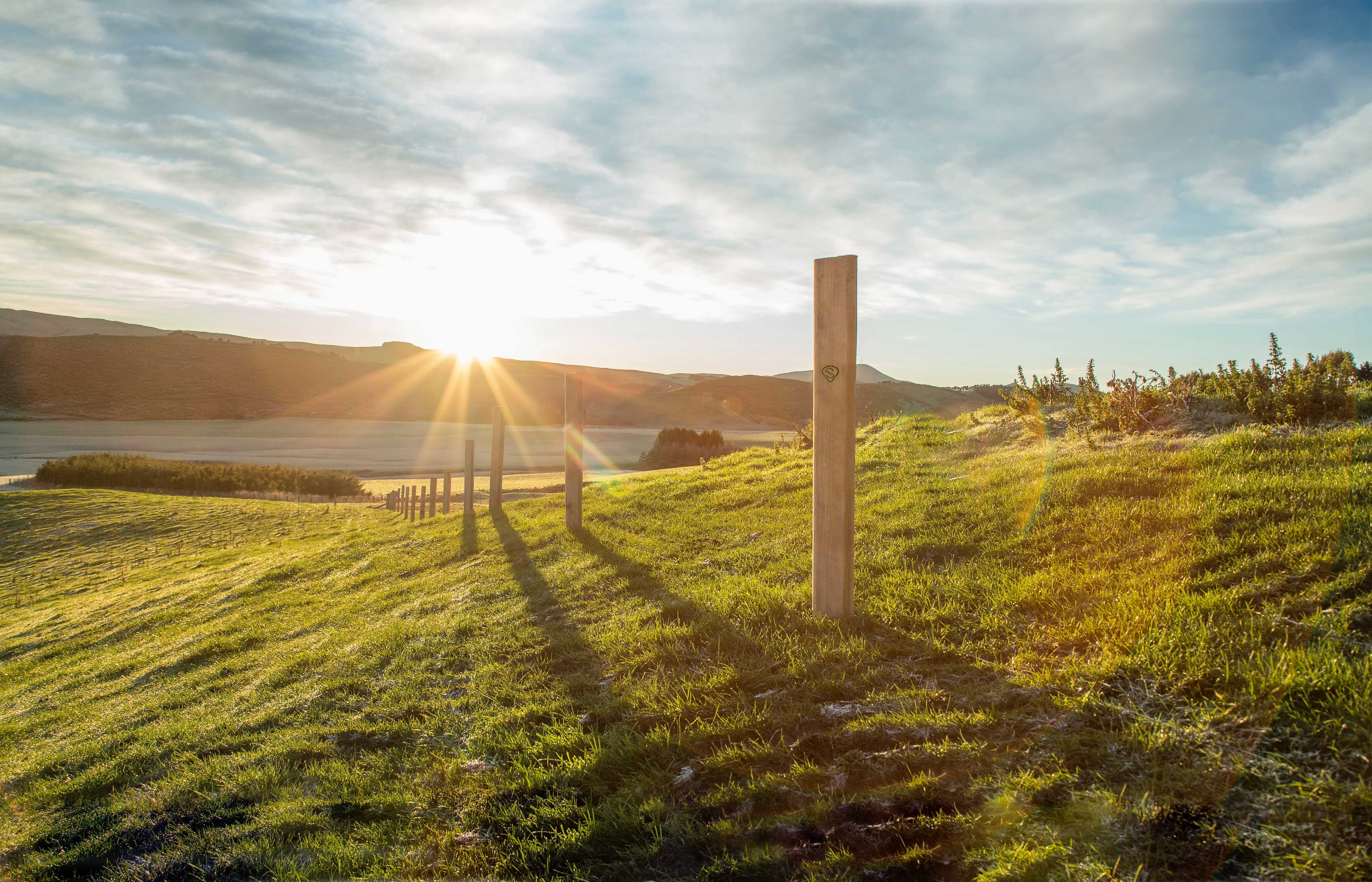 Promotions - Goldpine