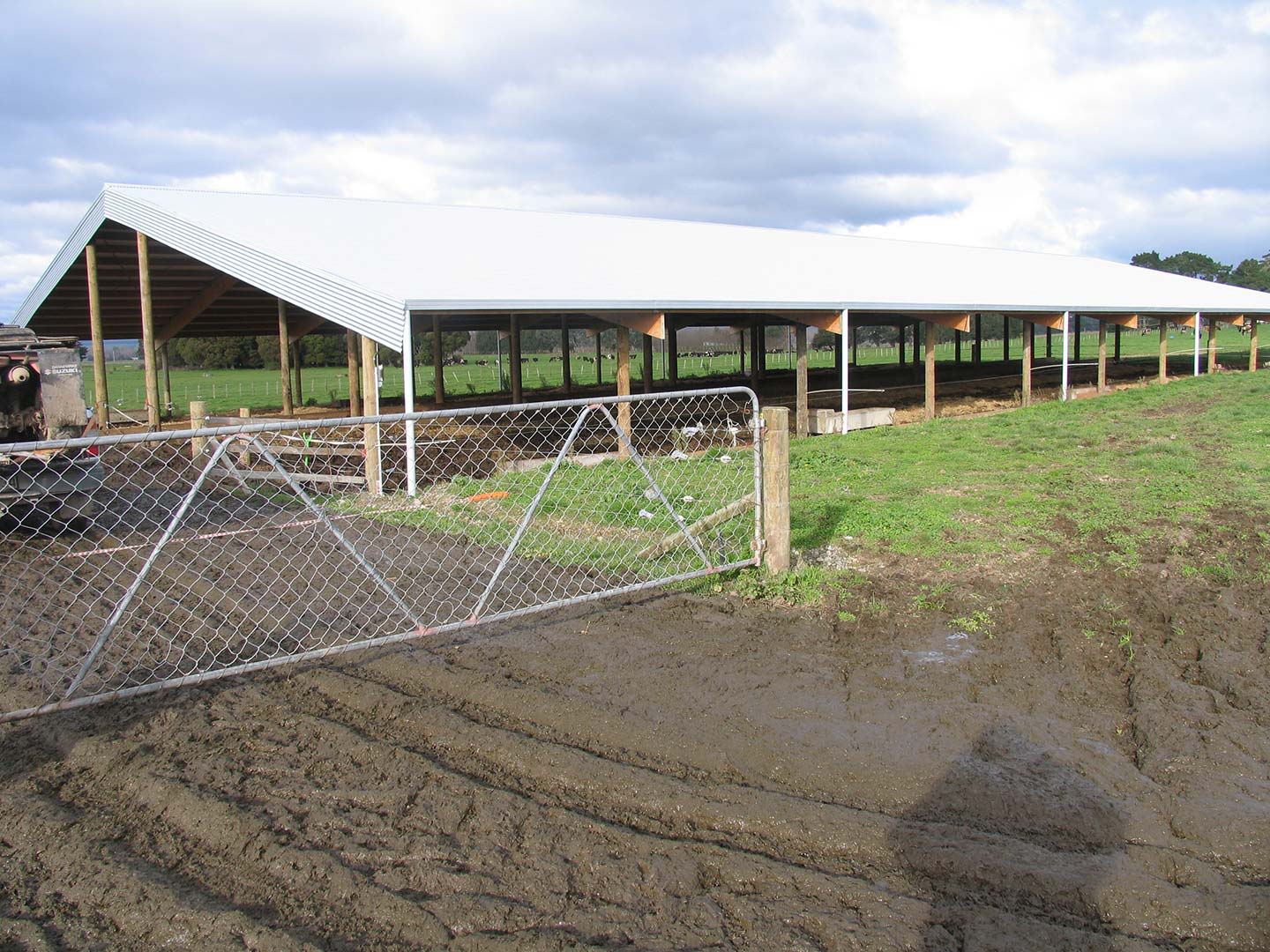 STRONGBUILT® Custom Design - Goldpine