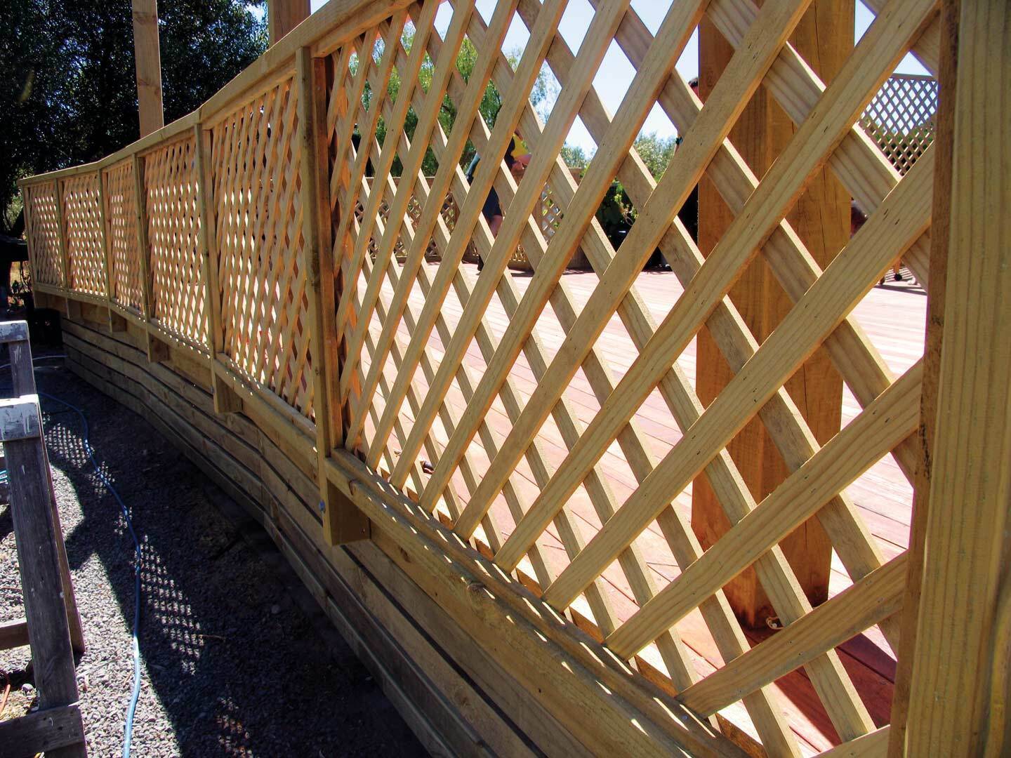 Diamond Trellis - Goldpine