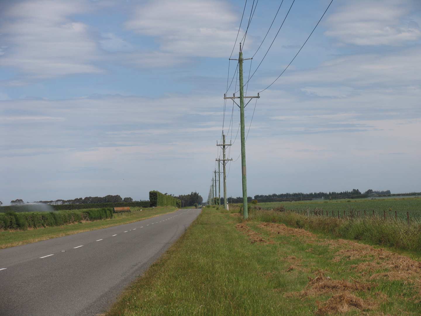 Electropoles® - Goldpine