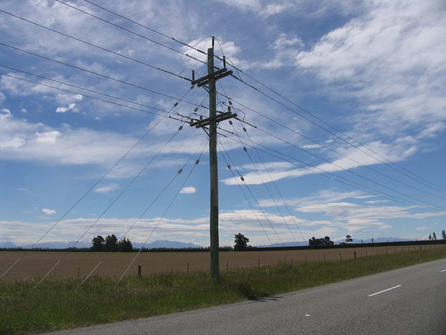 Electropoles® - Goldpine