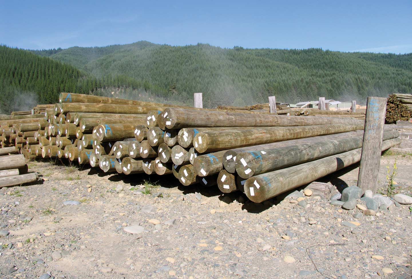 Electropoles® - Goldpine