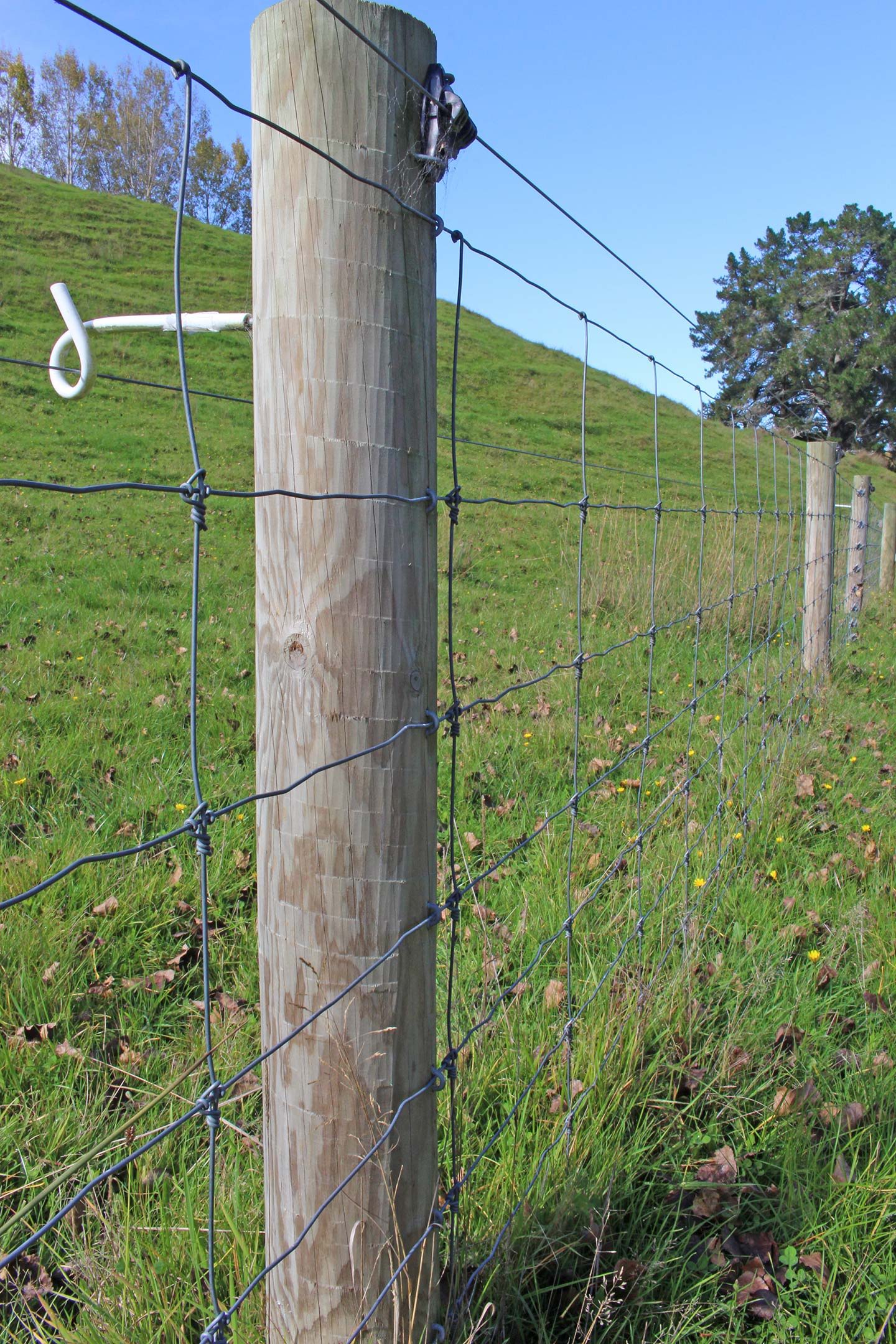 Wire, Netting & Y Posts - Goldpine