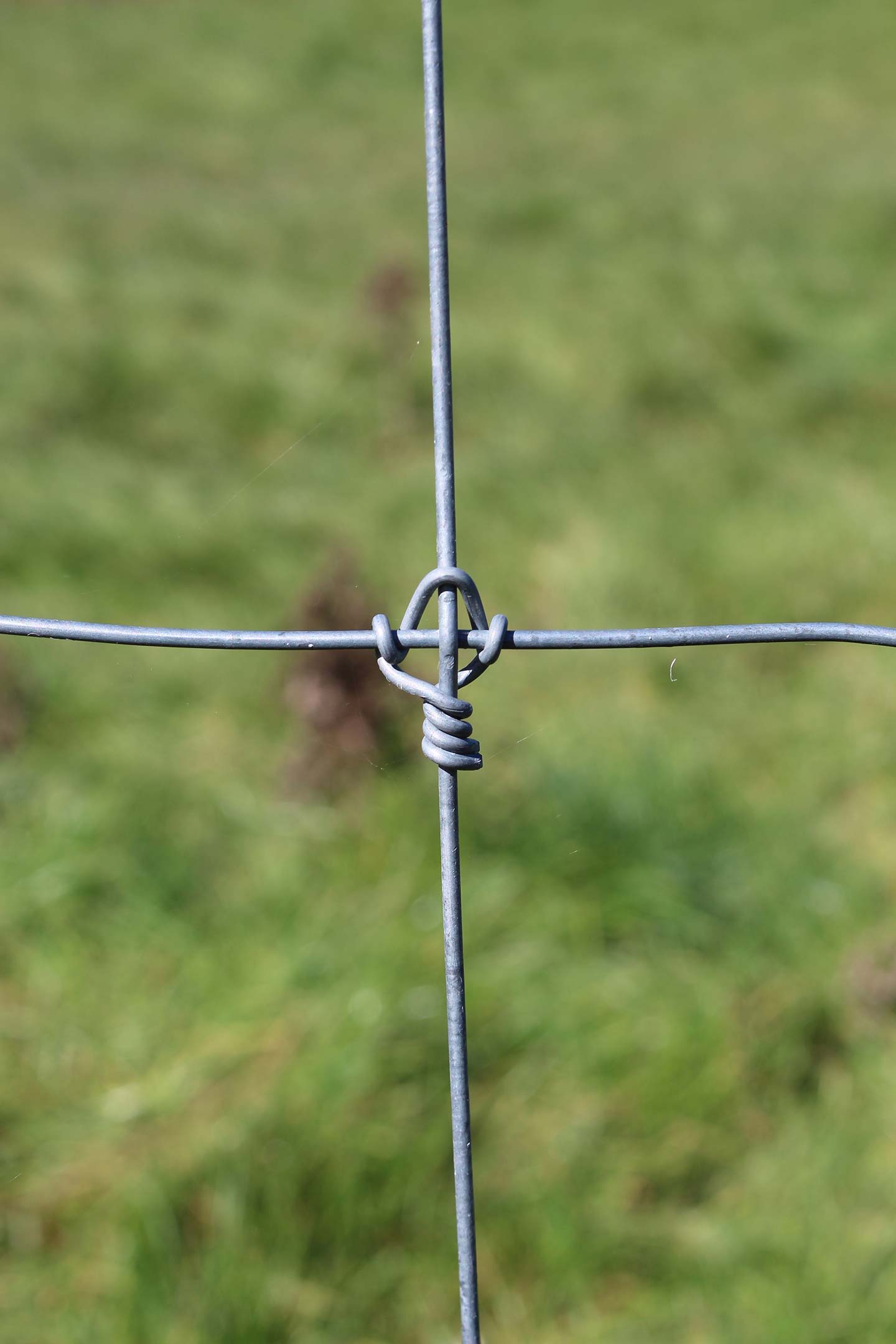 GOFENCE® ENDURANCE® Sheep Netting - Goldpine