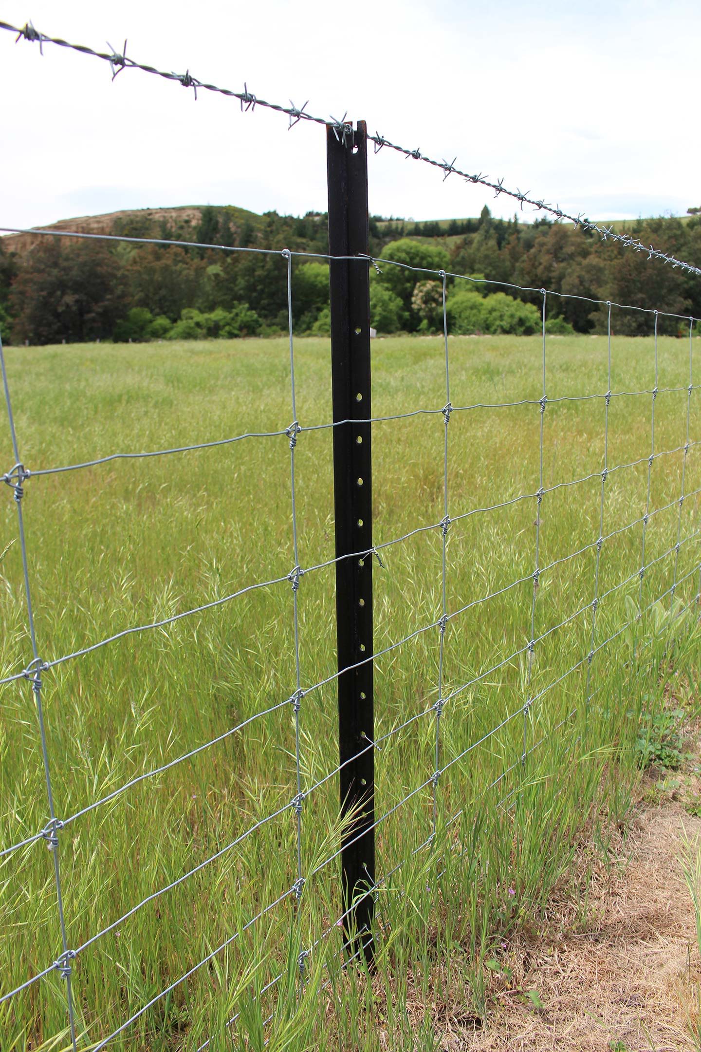 GOFENCE® Y POST - Goldpine