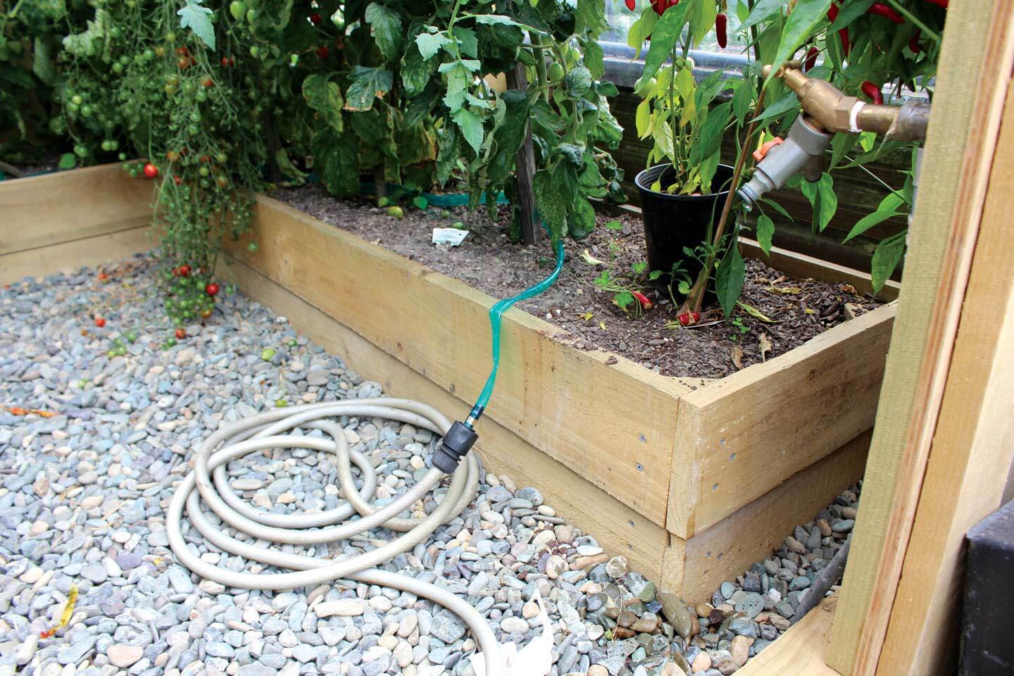 Eco:house® Timber Greenhouses - Goldpine