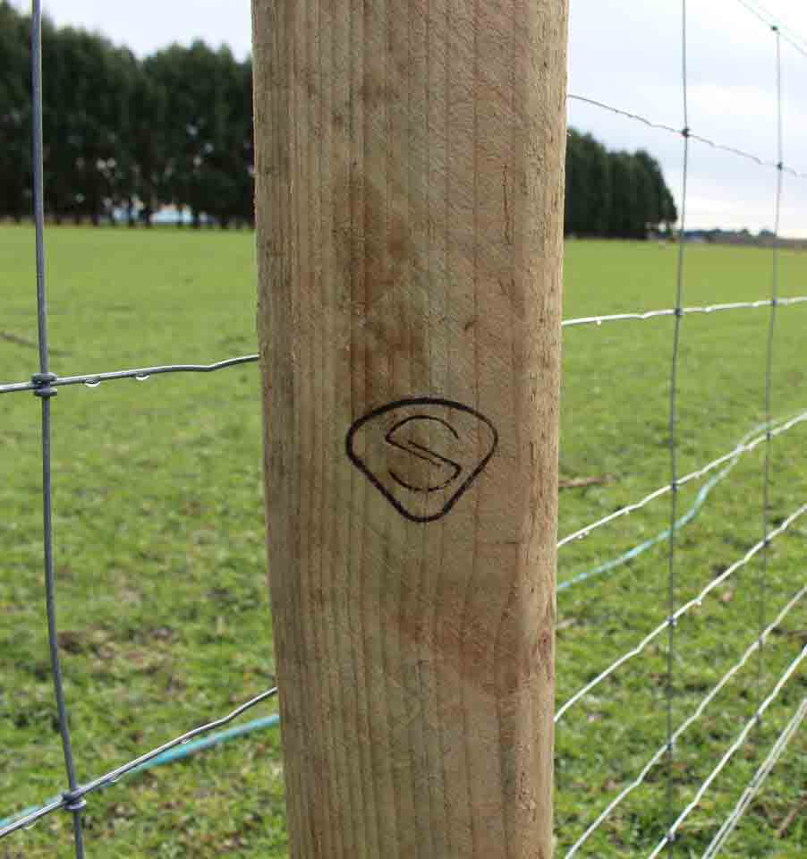 Rounded Superpost® - Goldpine