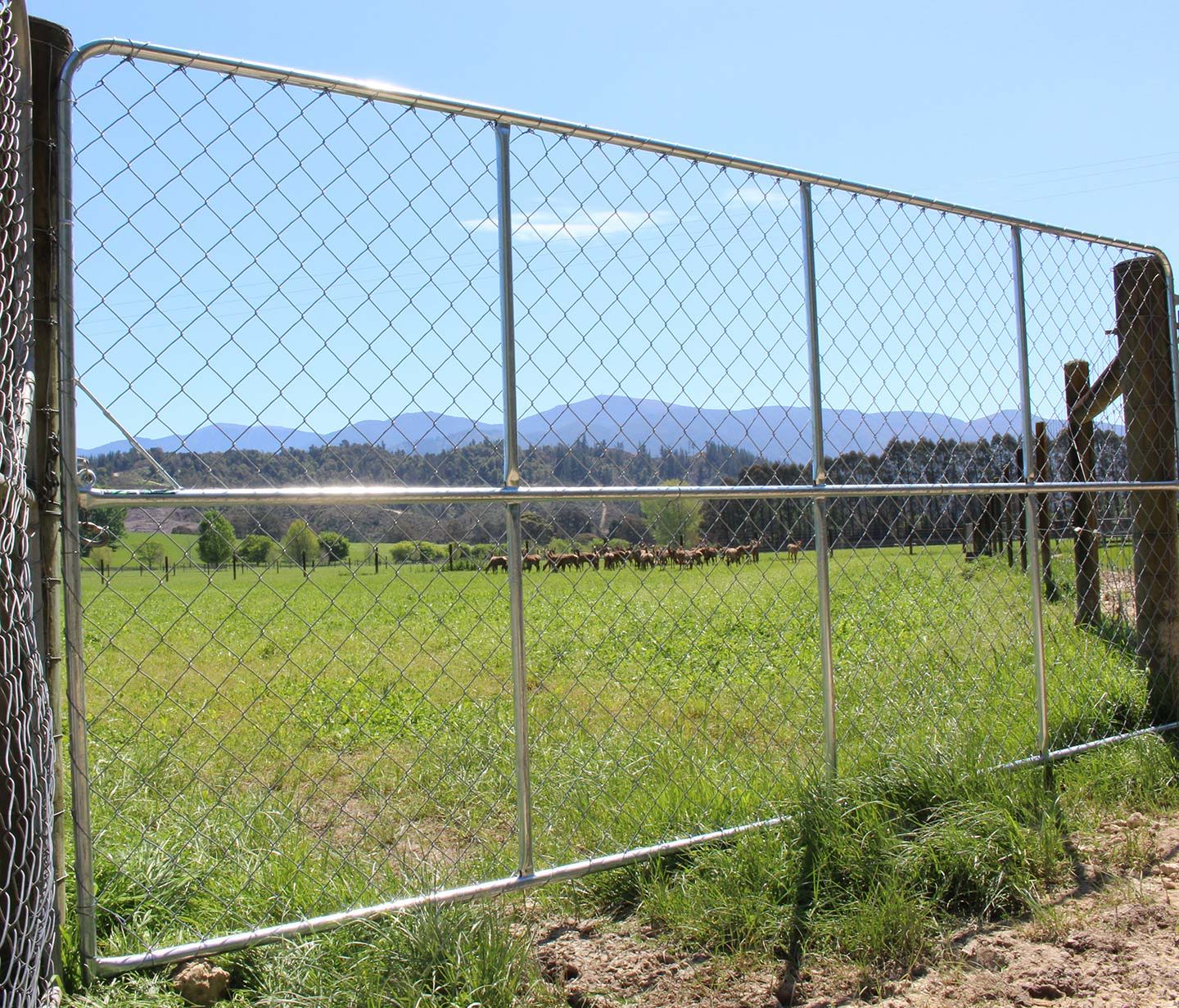 GOFENCE® ENDURANCE® Gates - Goldpine