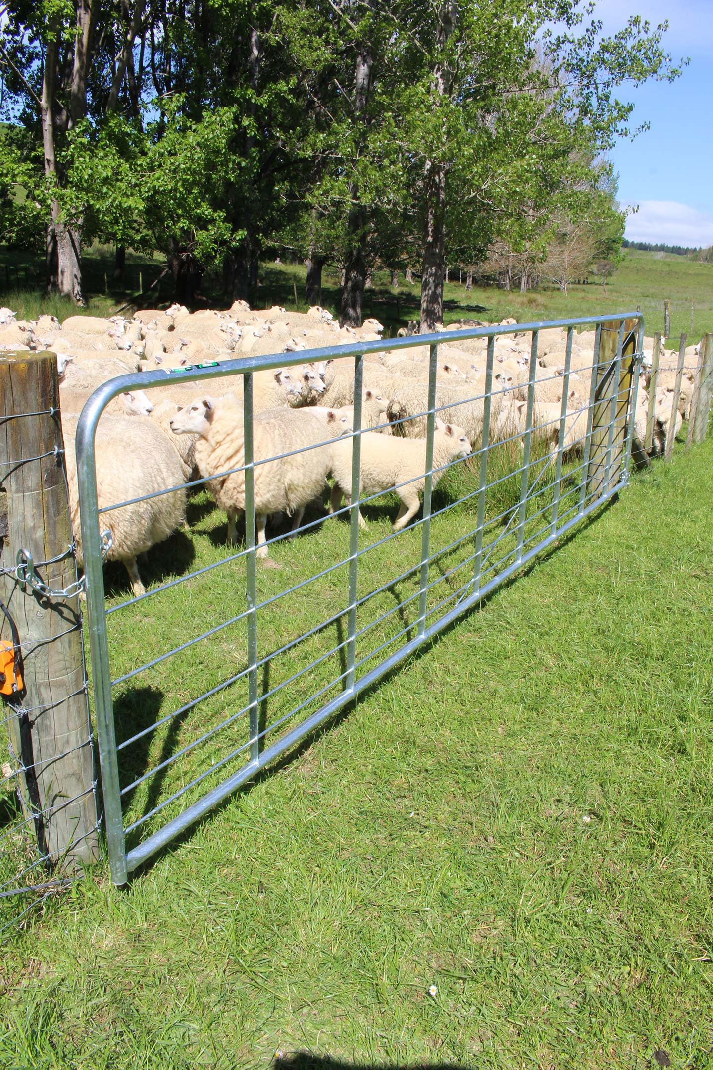GOFENCE® ENDURANCE® Gates - Goldpine