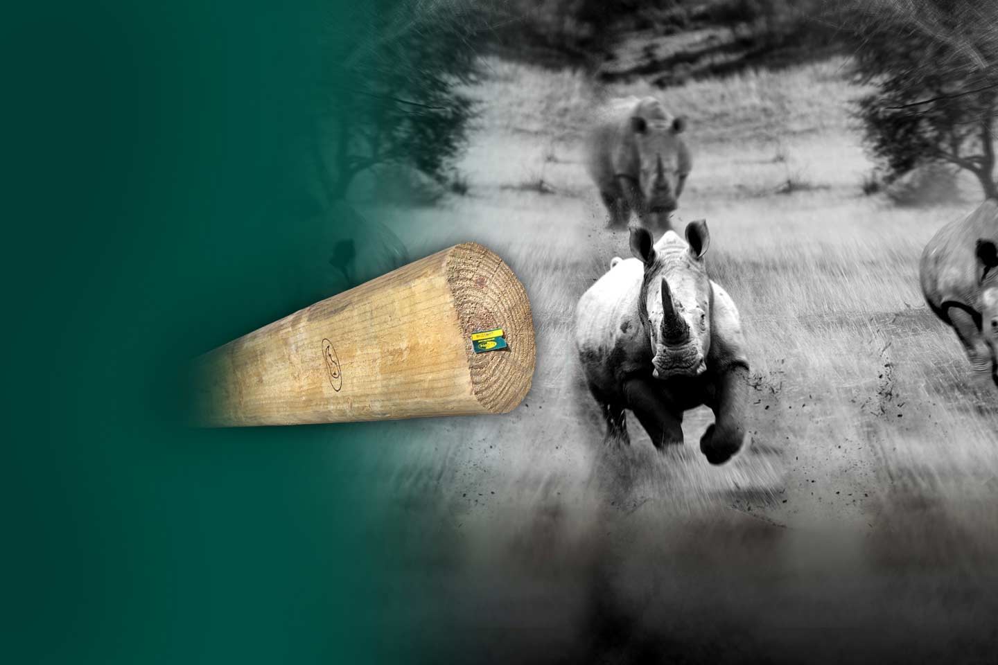 Fence Posts - Goldpine