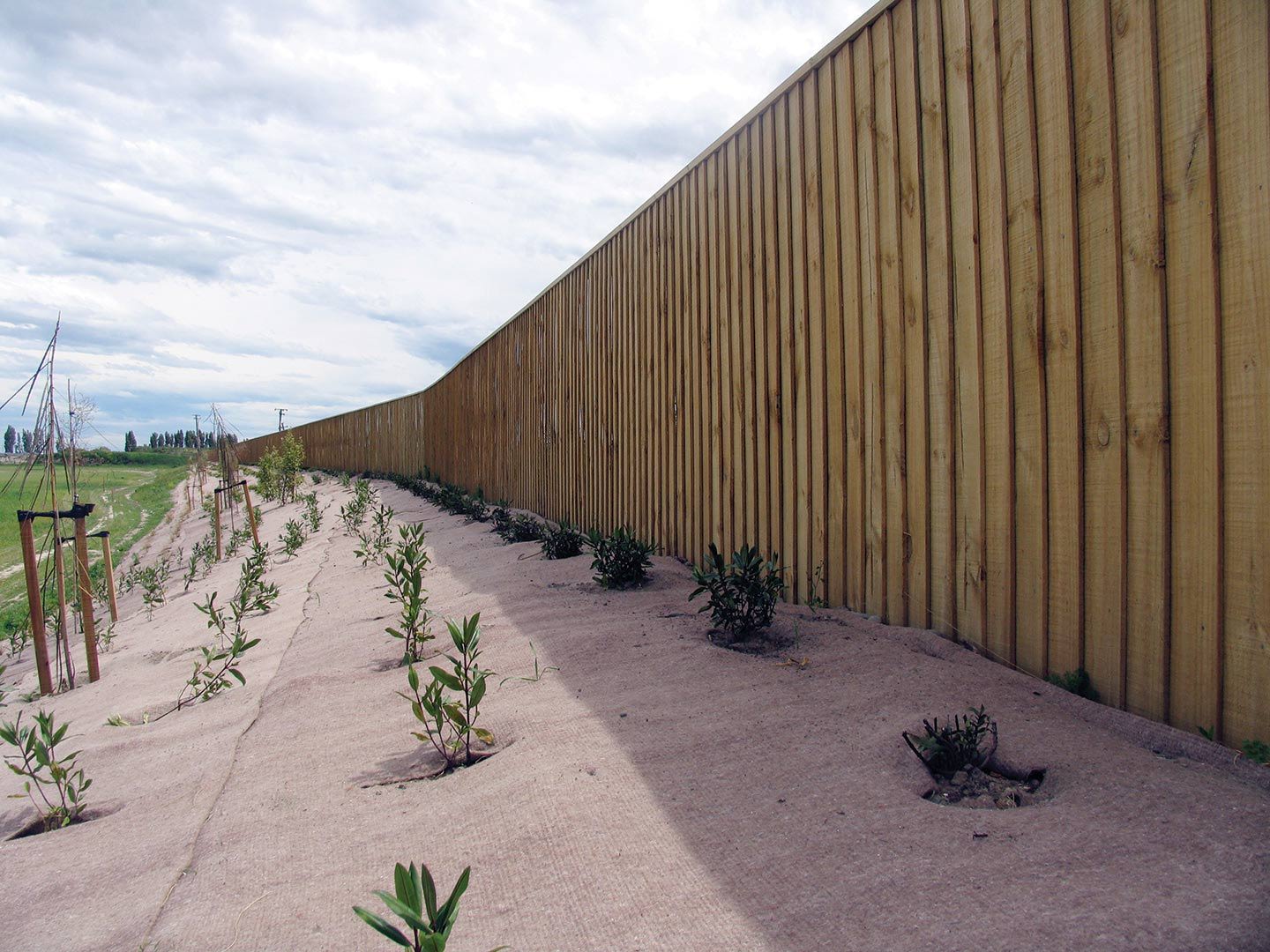 Residential Timber - Goldpine