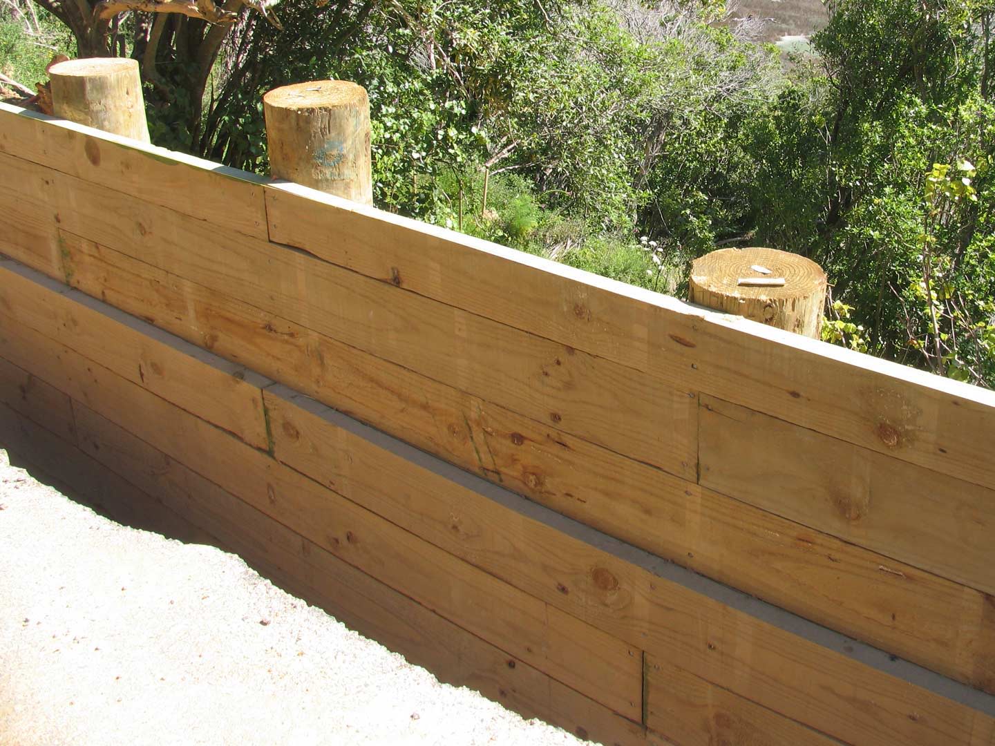 Big Boy Timber® - Goldpine