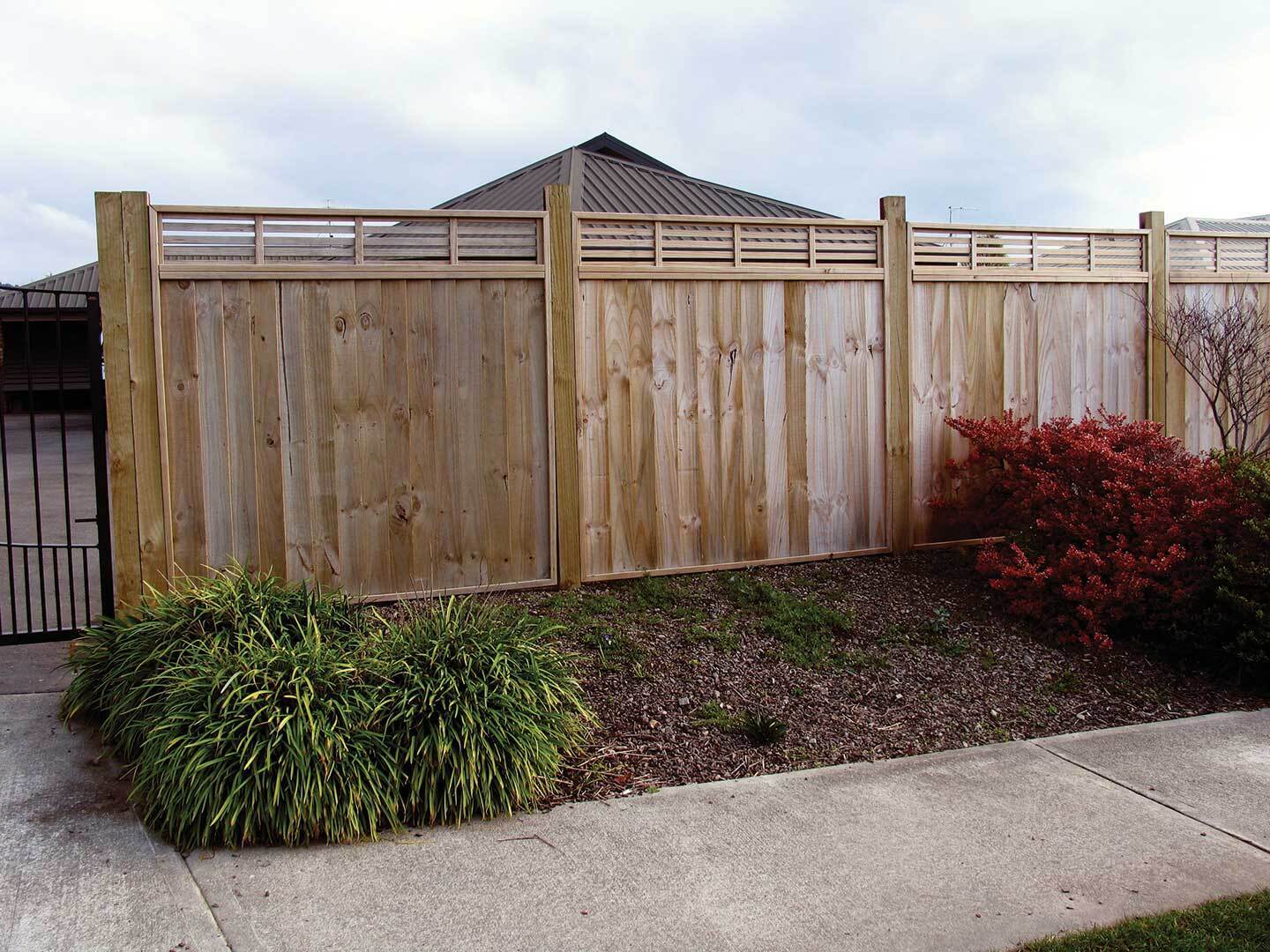 Fence Panels - Goldpine