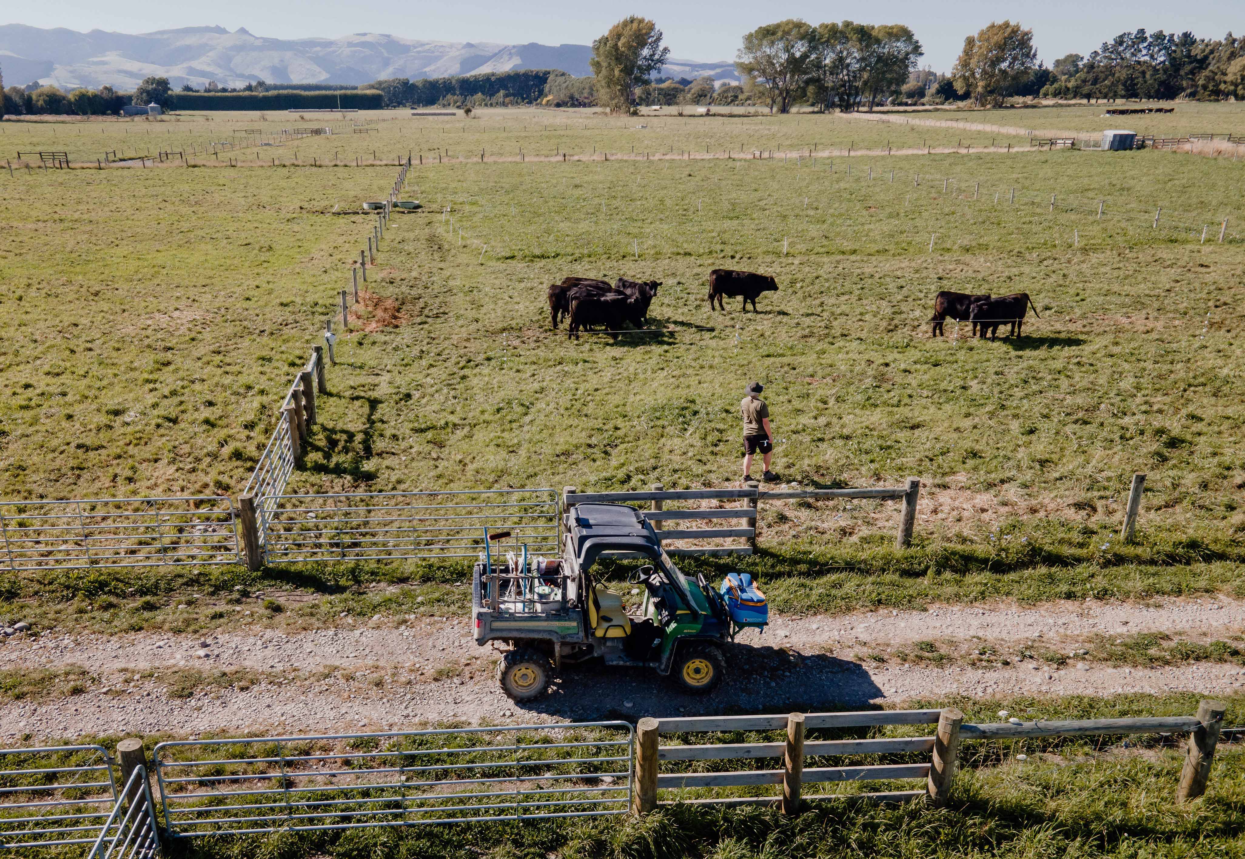 GOFENCE® Steel Tread-in Posts - Goldpine